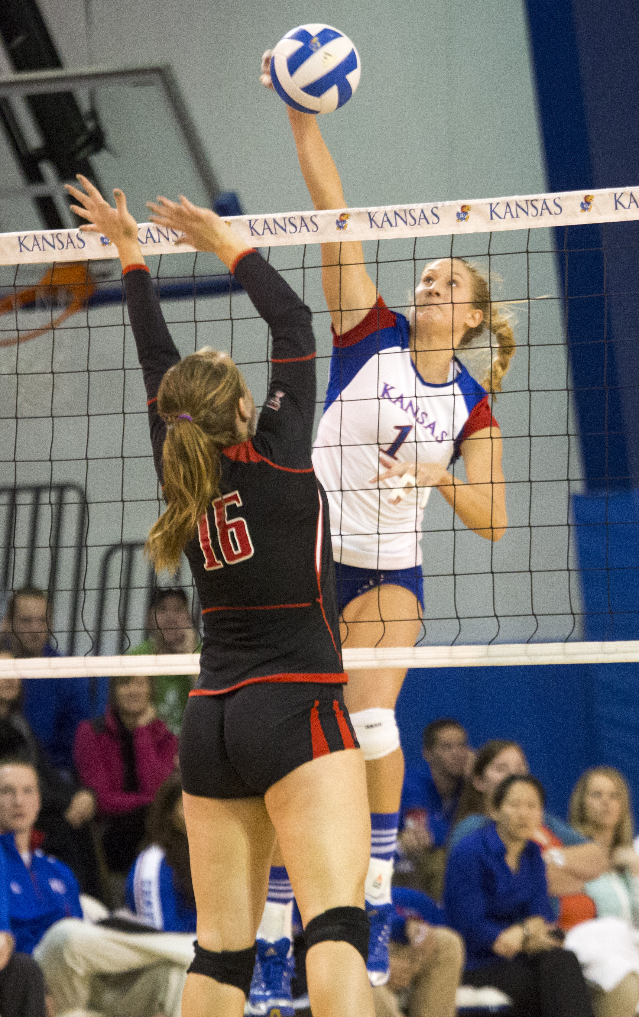 Photo gallery: KU volleyball Senior Day vs. Texas Tech | News, Sports ...